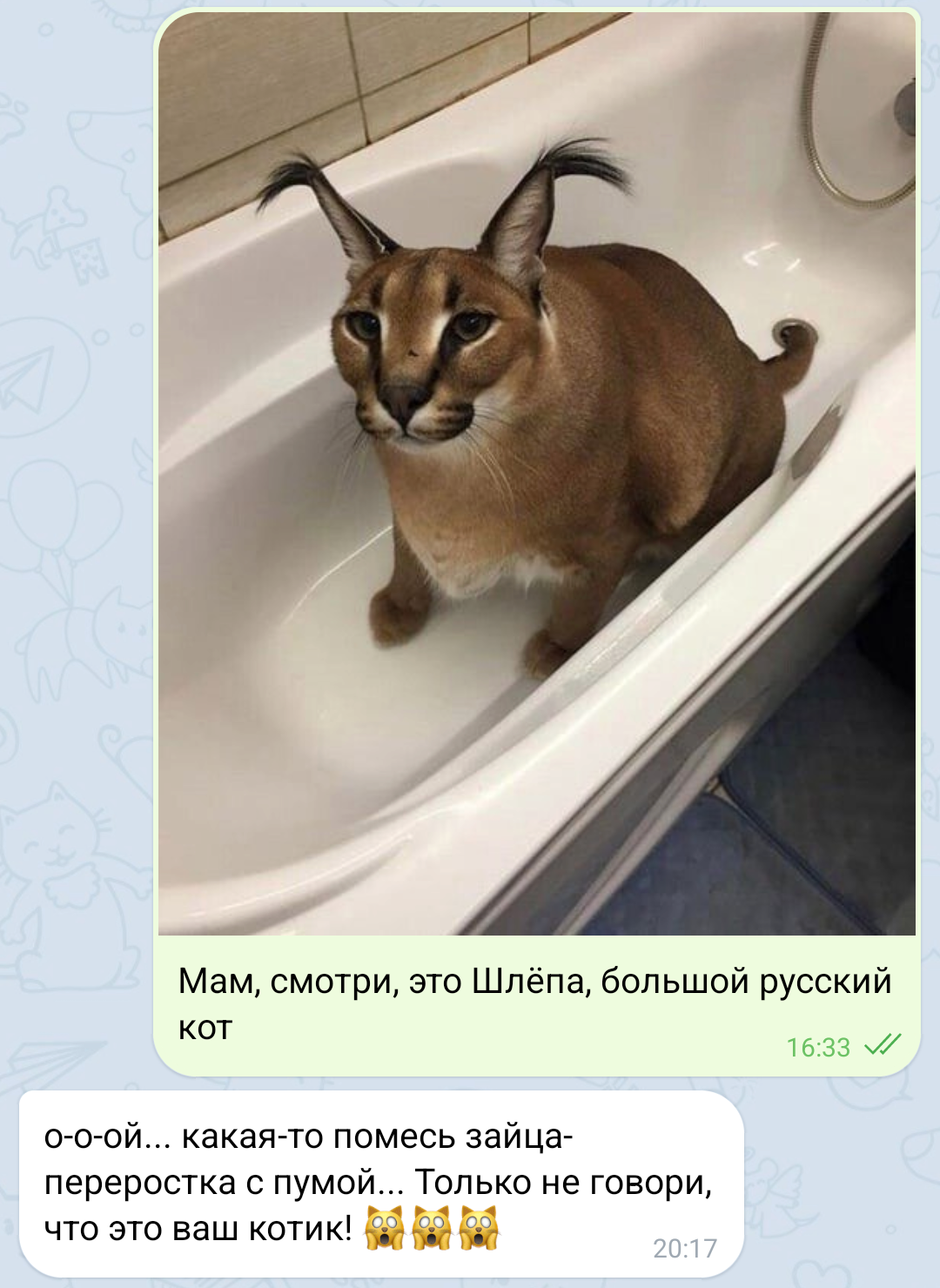 Maxim Lebedev (@toby3d@mstdn.io) - Mastodon